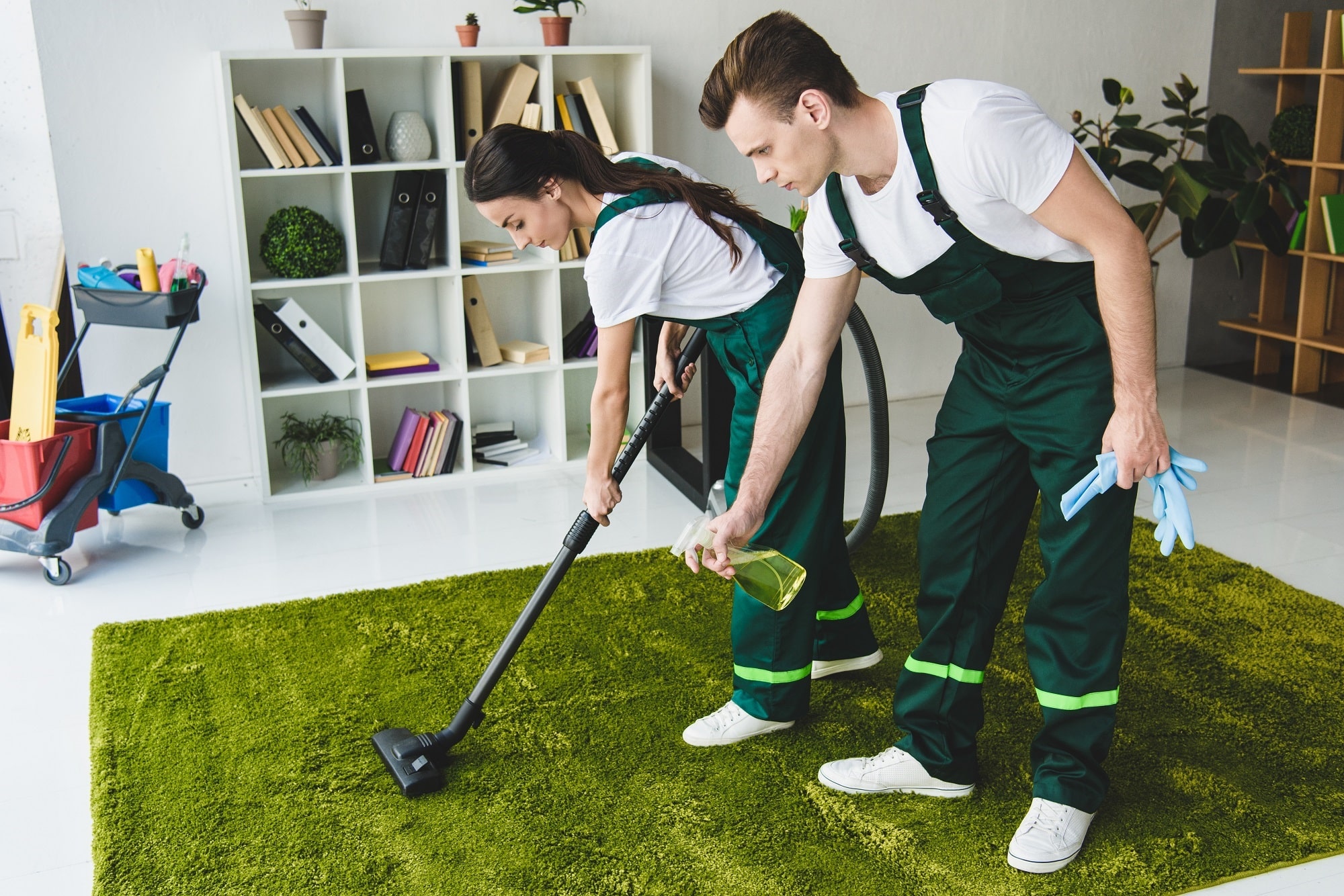 Management Software for Carpet Cleaning
